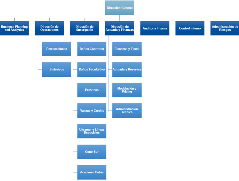 Organigrama - Reaseguradora Patria S.A.